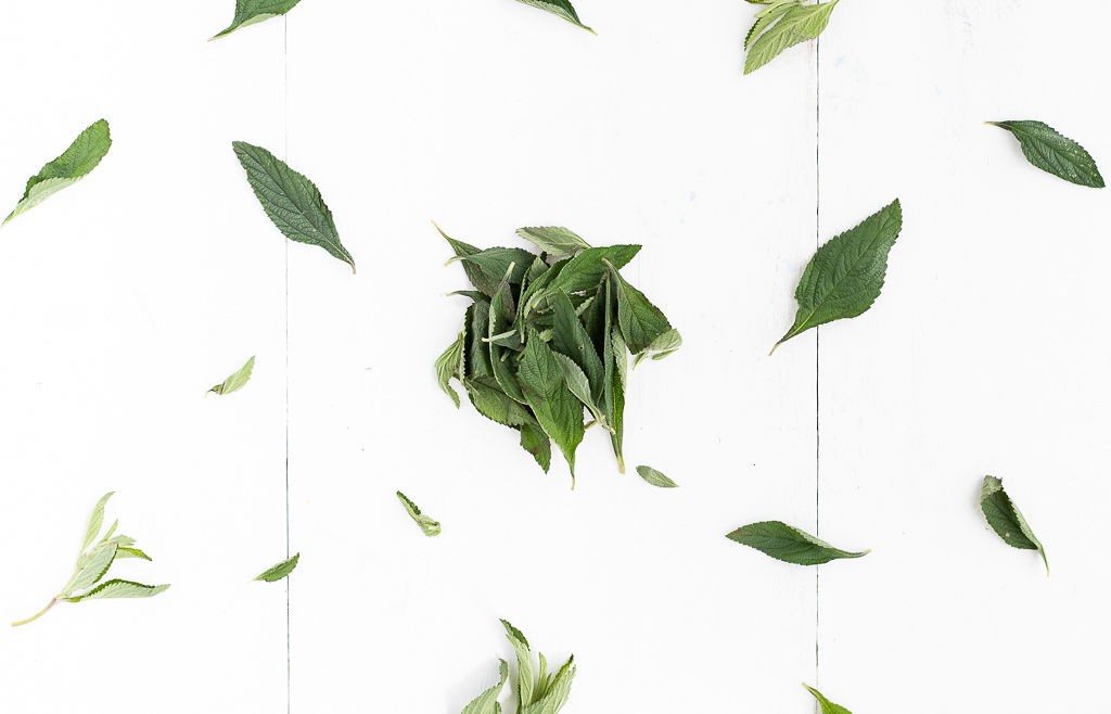 Comprar Juanilama H Orgánico a domicilio en Costa Rica